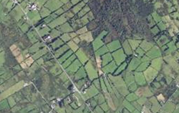 N2 Clontibret-Castleblaney Road Re-alignment EIS - Habitats - AtkinsRéalis