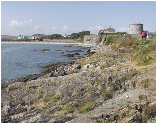 AtkinsRéalis Wins Commission to Design Fingal Coastal Way - Irish ...